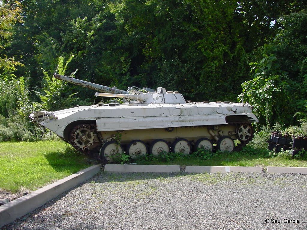 BMP-1.jpg | Modelers Alliance