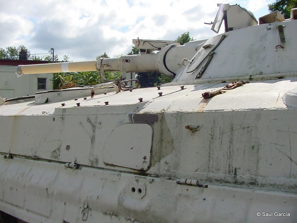 BMP1HMGport.jpg | Modelers Alliance