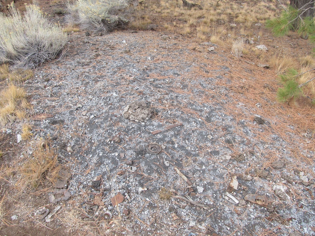 IMG_8263.JPG | Modelers Alliance