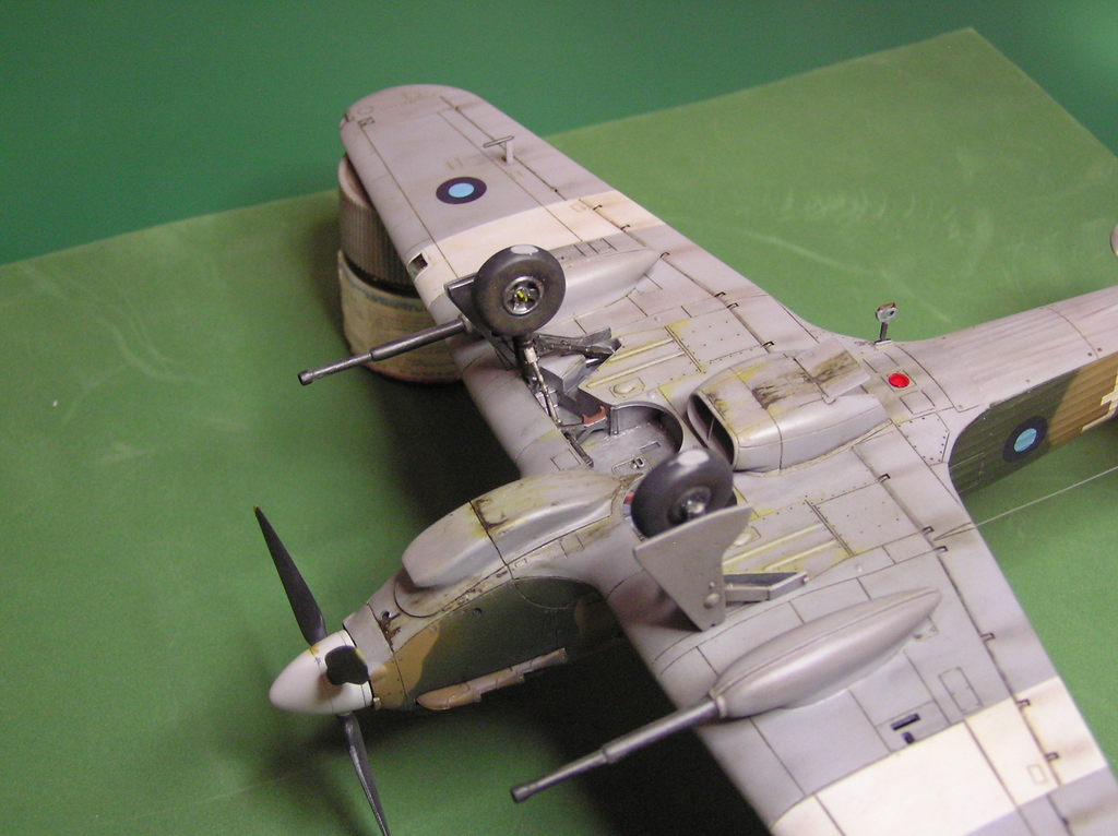 post_op_003.JPG | Modelers Alliance