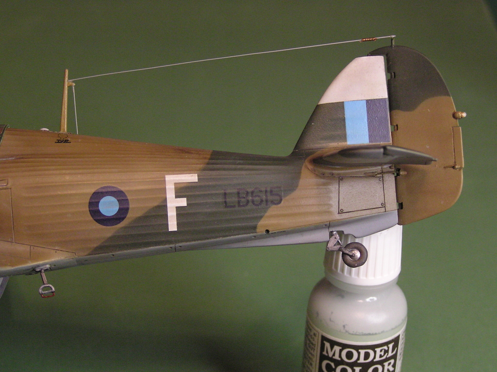 post_op_004.JPG | Modelers Alliance