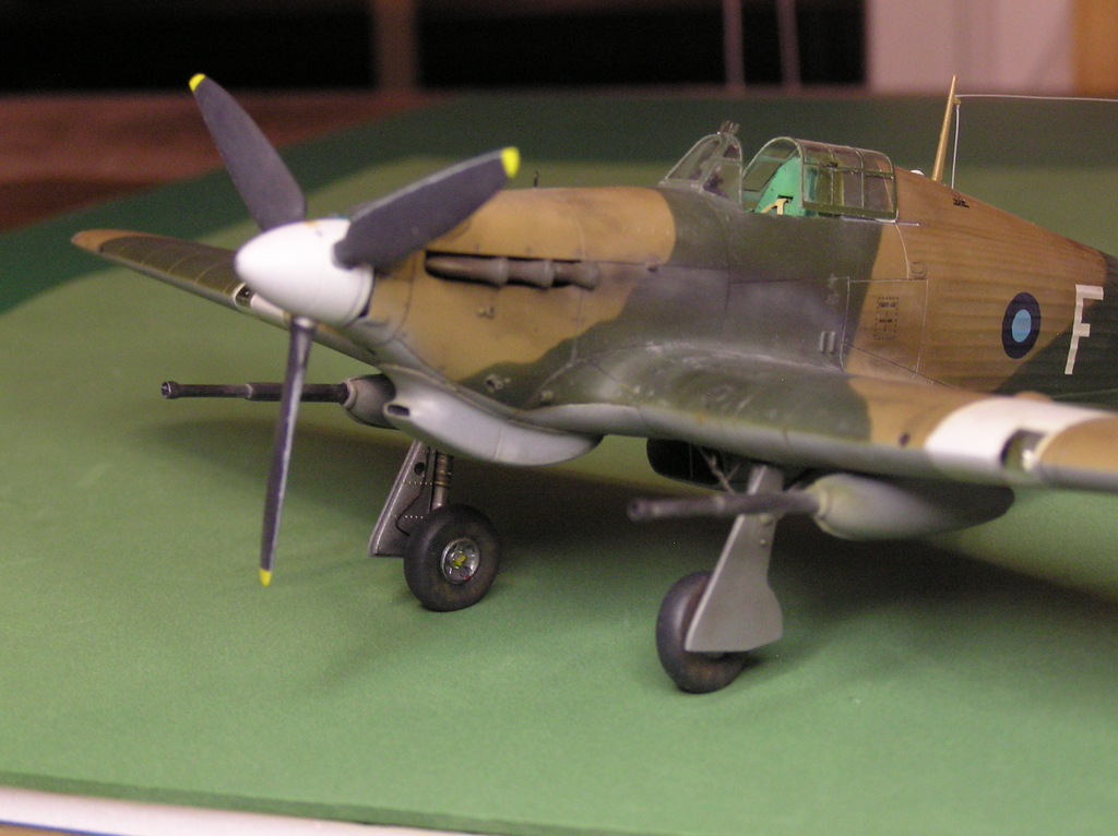 post_op_006.JPG | Modelers Alliance