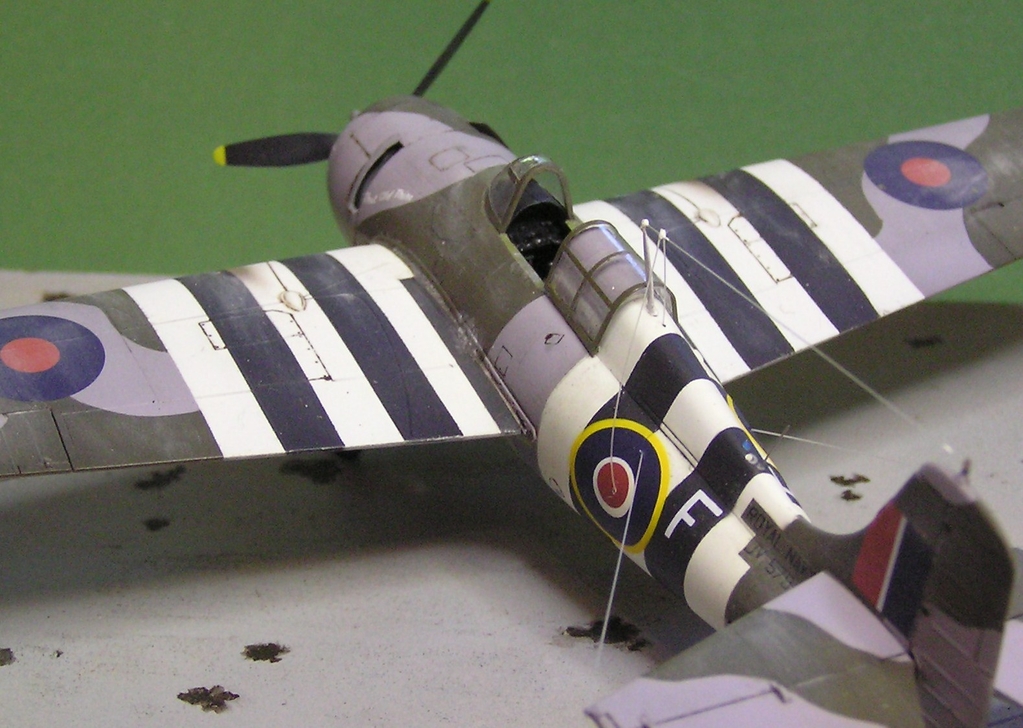 return_to_modeling_018.JPG | Modelers Alliance